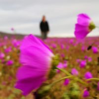 Sobre mí – Aimeé Salas